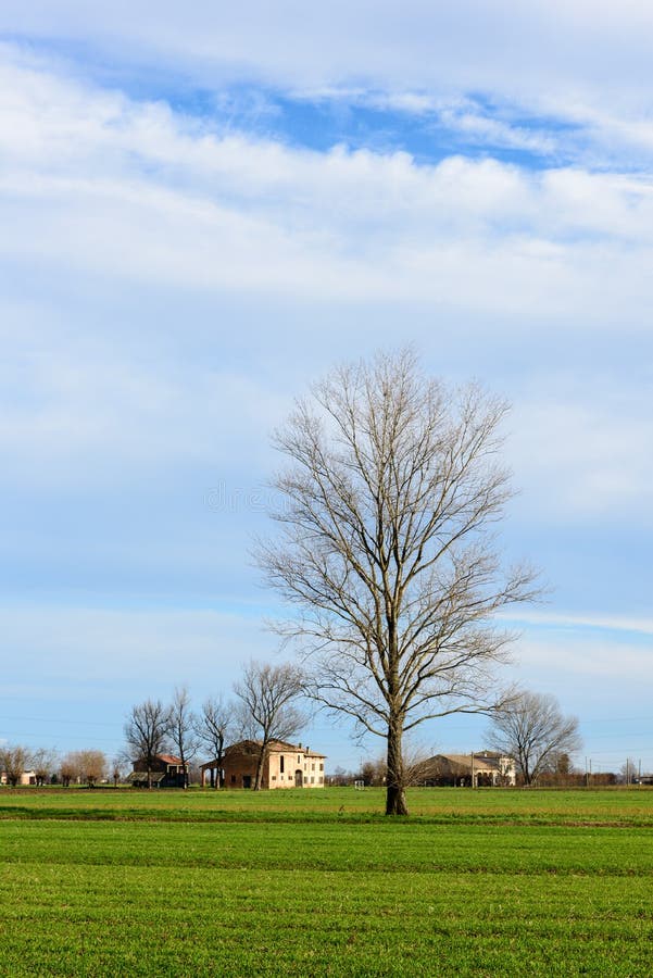 Rural Landscape of the Po Valley Parma-Italy Stock Photo - Image of ...