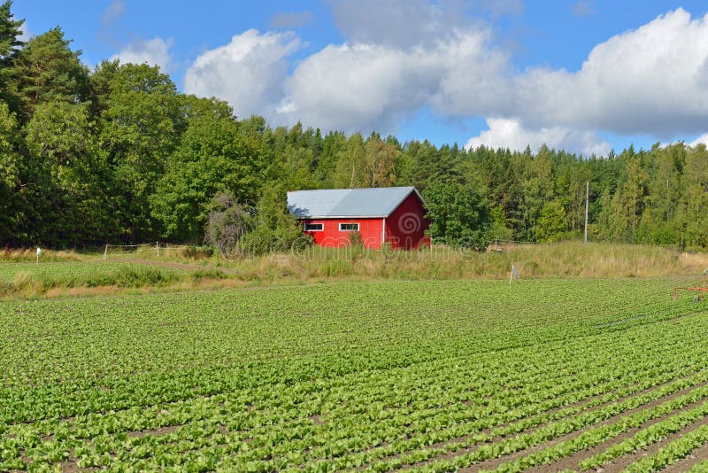 Rural Landscape with Red Barn Stock Image - Image of land, finland ...