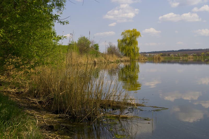 Rural Landscape with a River and Vegetation on the Shore Stock Photo ...