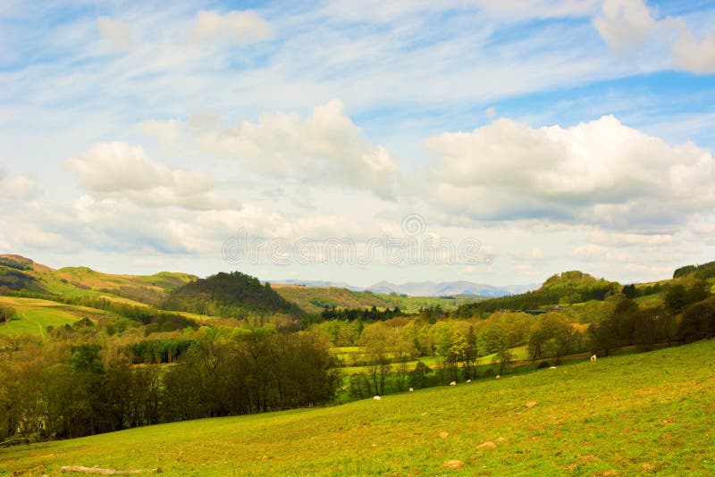 Rural Landscape in Scottish Highlands Stock Photo - Image of nature ...