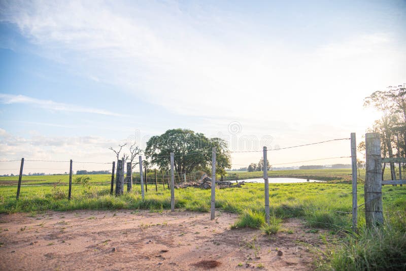 Rural Landscape in Southern Brazil Stock Photo - Image of field ...