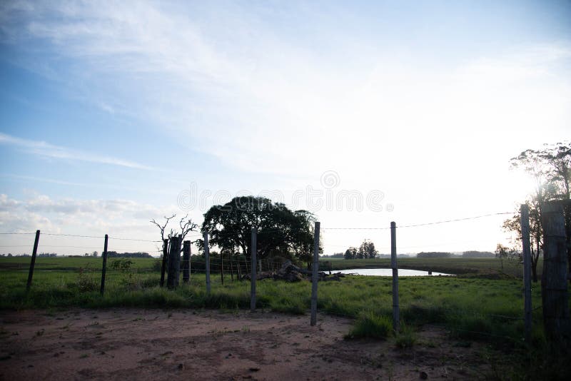 Rural Landscape in Southern Brazil Stock Photo - Image of breeding ...