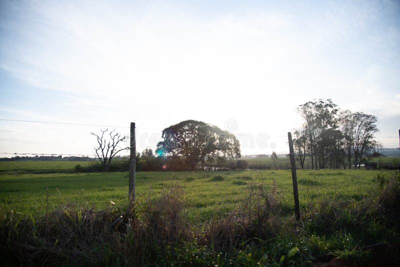 Rural Landscape and Area of Soybean Production Farms in Southern Brazil ...