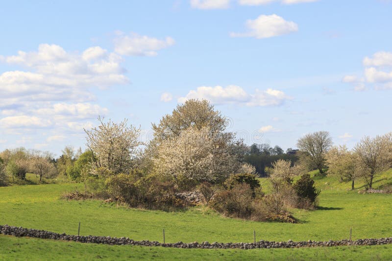 Rural landscape in spring stock image. Image of nature - 29521649