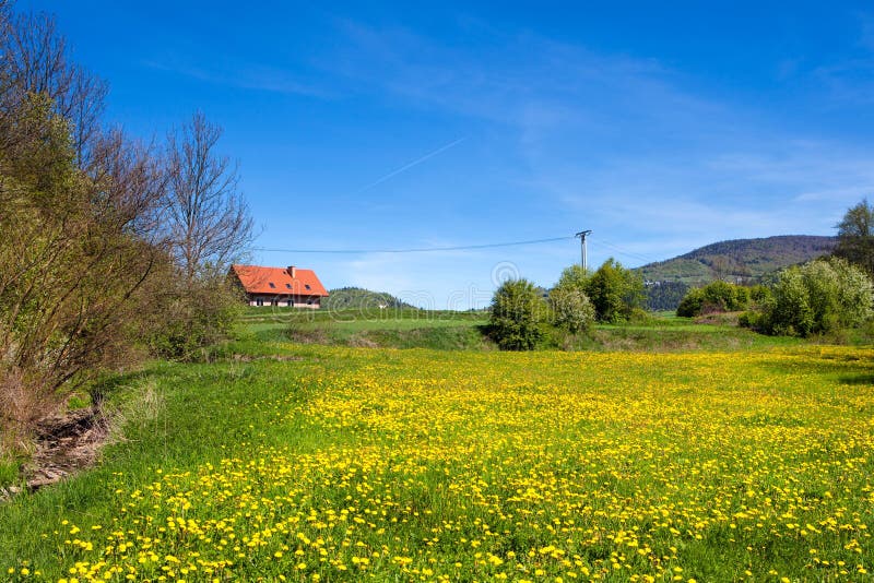 Country spring landscape stock photo. Image of home, business - 29761144