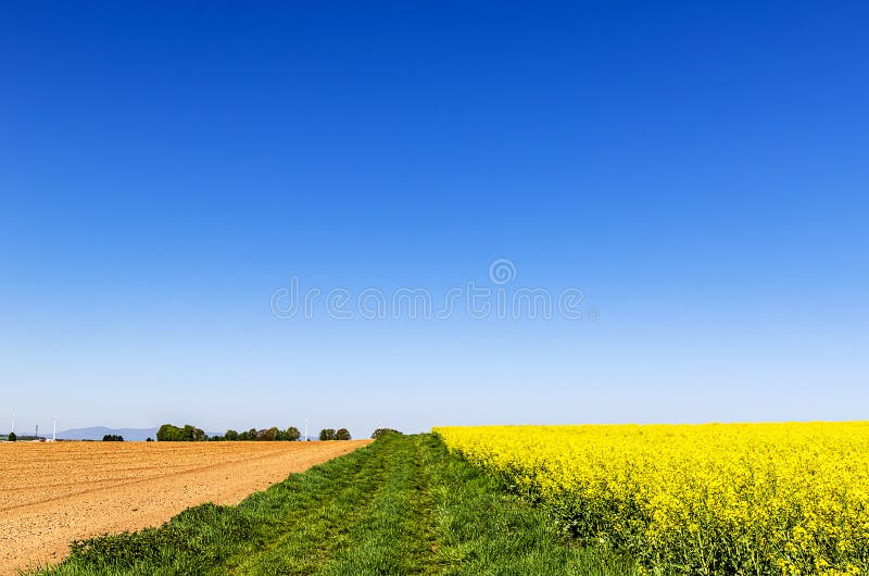 Rural Landscape with Spring Fields and a Blue Sky Stock Image - Image ...