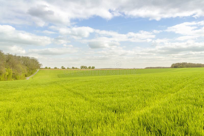 Rural Landscape at Spring Time Stock Image - Image of hayfield ...