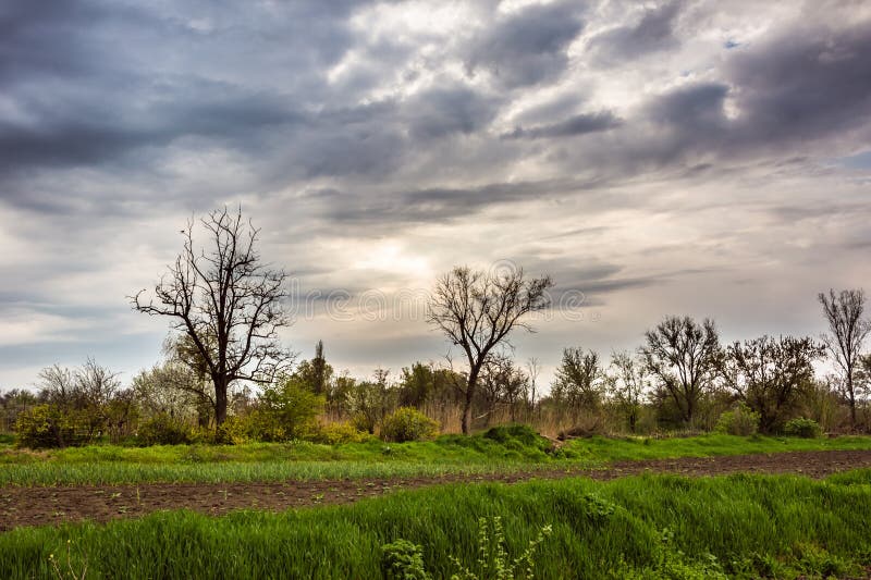 Rural landscape in spring stock photo. Image of garden - 41235058