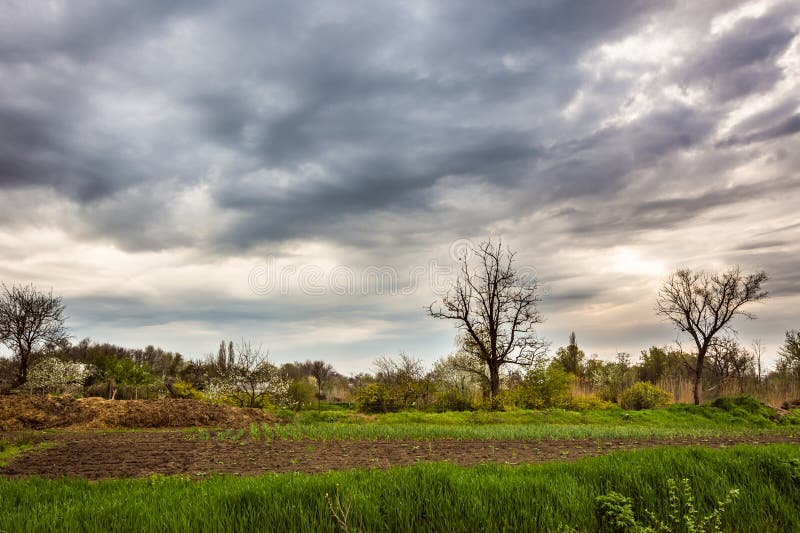 Rural landscape in spring stock image. Image of ecosystem - 41235071