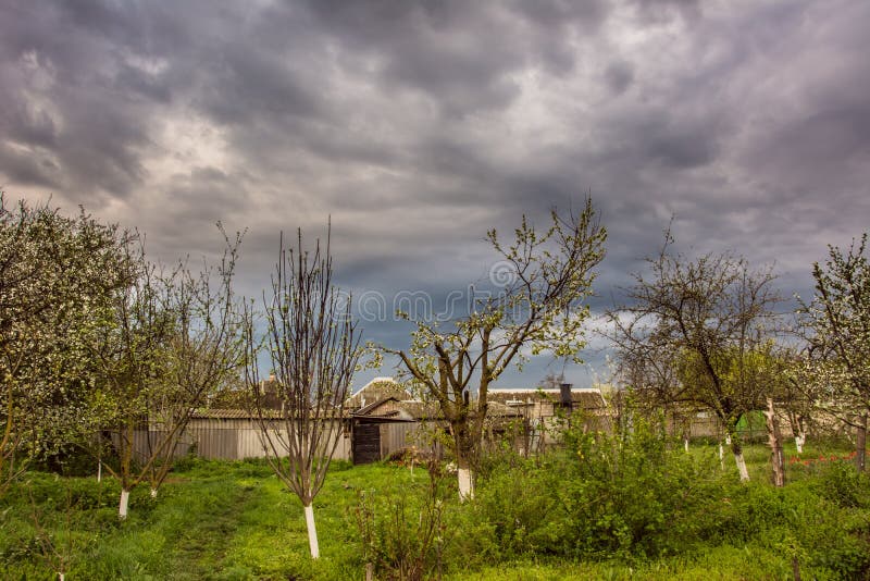Rural landscape in spring stock photo. Image of rural - 41312786