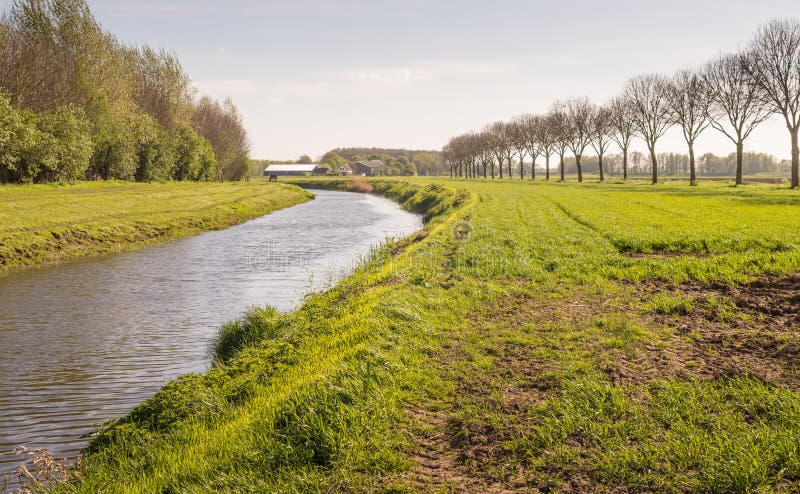 Rural Landscape in Springtime Stock Image - Image of country, scene ...