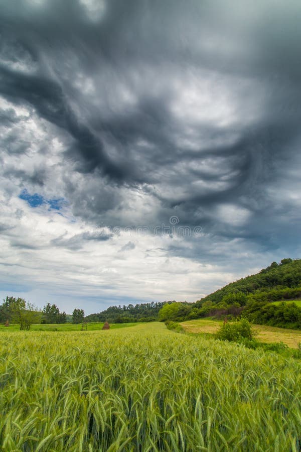 Rural Landscape with Storm Clouds, in Summer Stock Photo - Image of ...