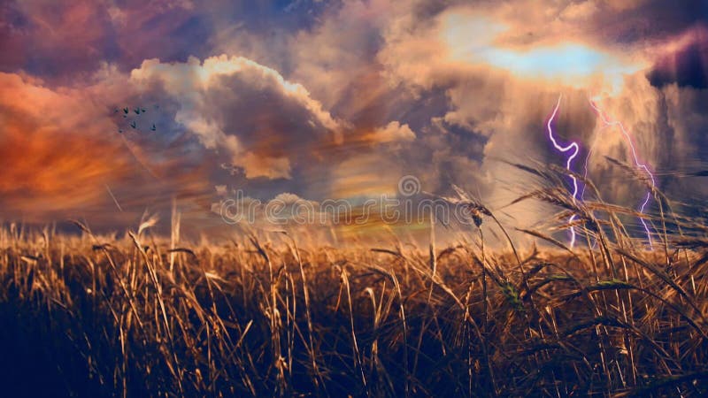 Storm over field stock video. Video of clouds, retro - 198768647