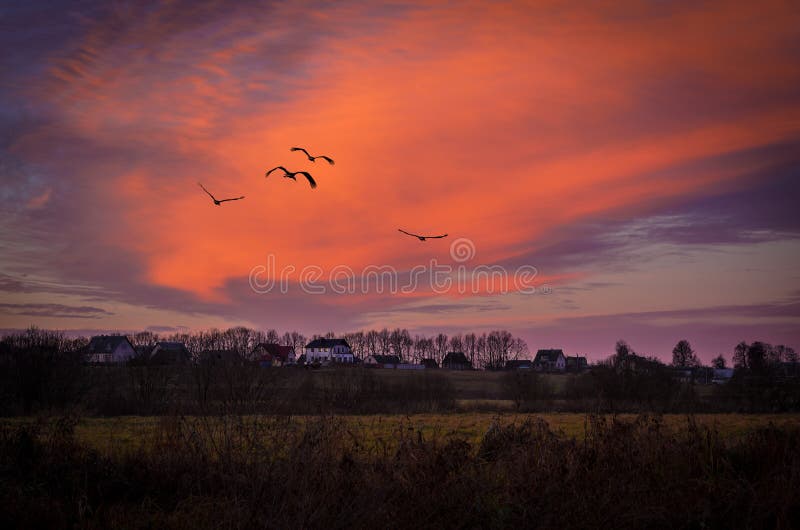 Rural landscape stock photo. Image of landscape, evening - 47583176