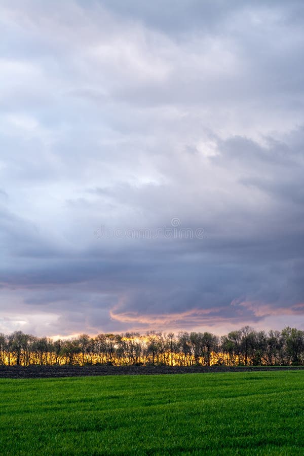 Sunset over the field stock image. Image of outdoors - 225017991