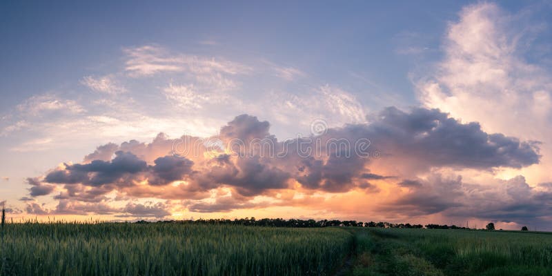 Sunset over the field stock photo. Image of horizon - 225019938