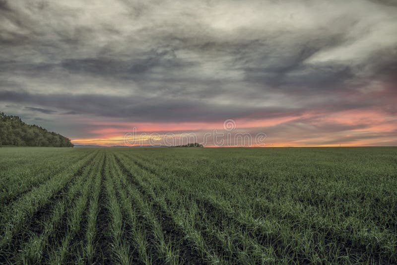 Rural Landscape with a Sunset and the Storm Sky Stock Image - Image of ...