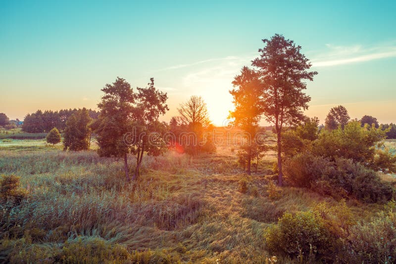 Rural landscape at sunset stock image. Image of field - 170568535