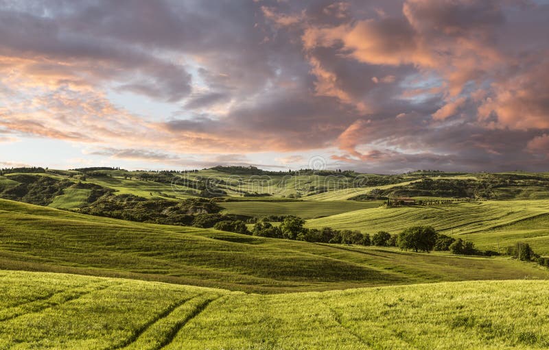 Rural Landscape, Tuscany, Italy Stock Photo - Image of pink, farm: 86380712