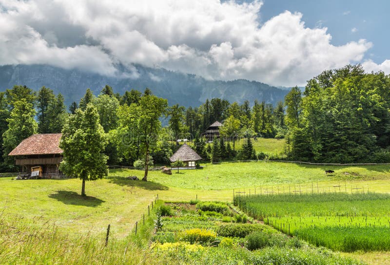 Rural Landscape in Switzerland Stock Photo - Image of trees, chalets ...