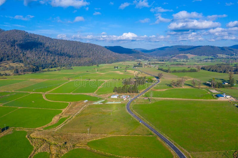 Rural Landscape of Tasmania, Australia Stock Photo - Image of flock ...