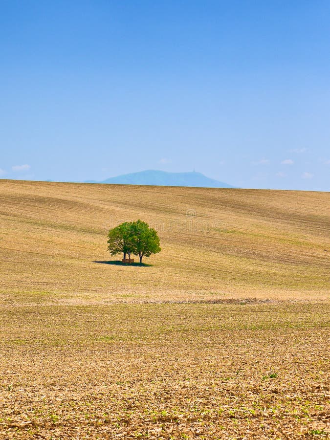 Rural Landscape with tree stock image. Image of farm - 25310729