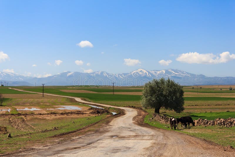 Landscape of turkey stock photo. Image of agriculture - 98977702
