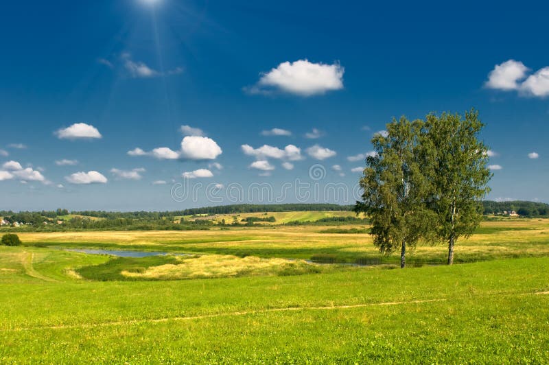 Rural Landscape with Two Trees Stock Image - Image of outside ...
