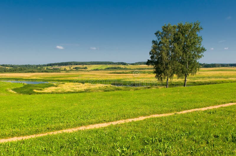 Rural Landscape with Two Trees Stock Image - Image of ground, blue: 8463069
