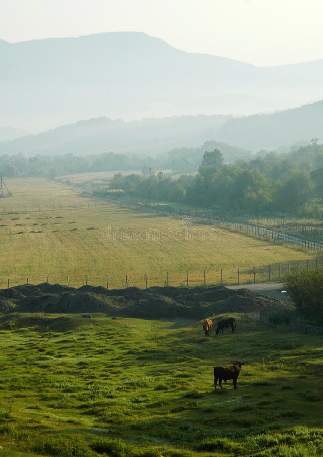 Rural landscape, Ukraine stock image. Image of mountains - 3143681