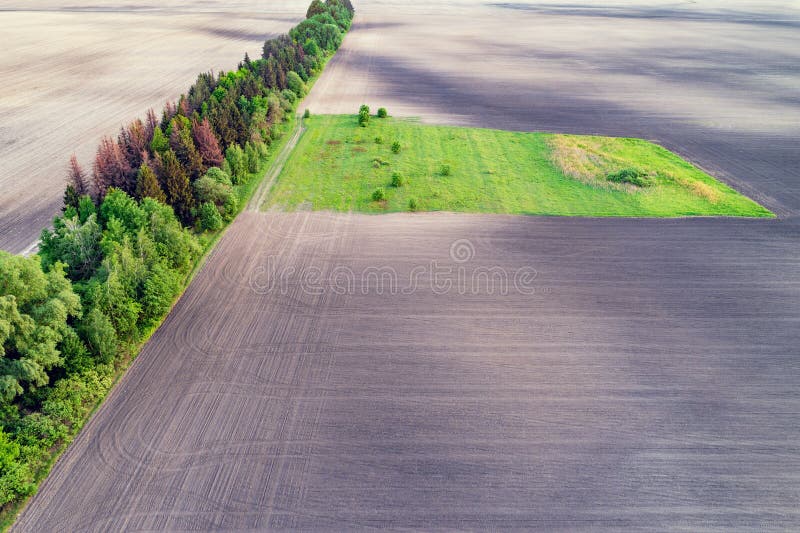 Rural Landscape. View from Above of Arable Field with Row of Trees ...