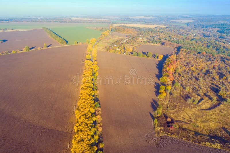 Rural Landscape View Above Arable Field Row Trees Stock Photos - Free ...