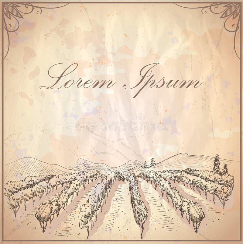 Rural Landscape with Vineyard Graphic Hand Drawn Illustration Stock ...