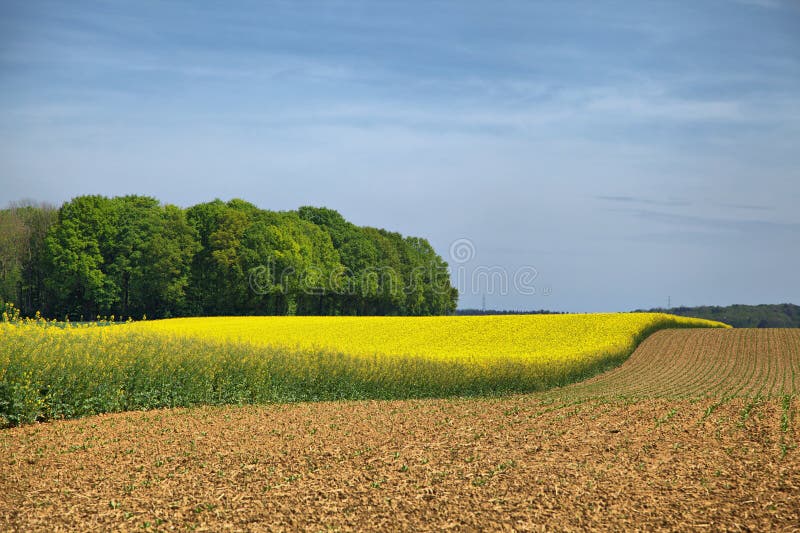 13,569 Belgium Rural Stock Photos - Free & Royalty-Free Stock Photos ...