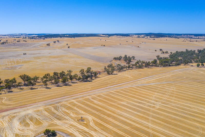 Rural Landscape of Western Australia Stock Photo - Image of landscape ...