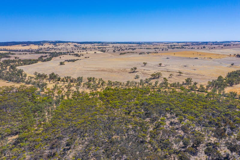 Rural Landscape of Western Australia Stock Photo - Image of scenic ...