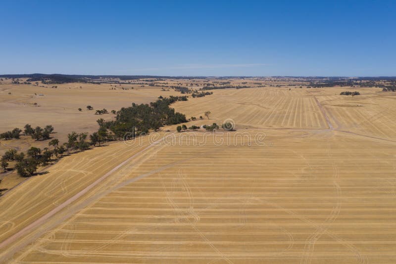 Rural Landscape of Western Australia Stock Photo - Image of field ...