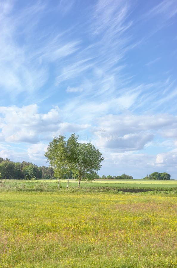The Rural Landscape of Western Poland Stock Photo - Image of europe ...