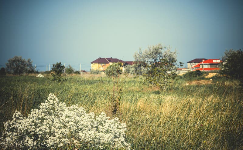 Rural landscape stock image. Image of herbs, weeds, bush - 109790153