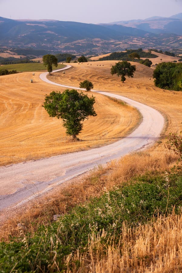 Rural Landscape with Winding Road among Fields in Countryside Stock ...