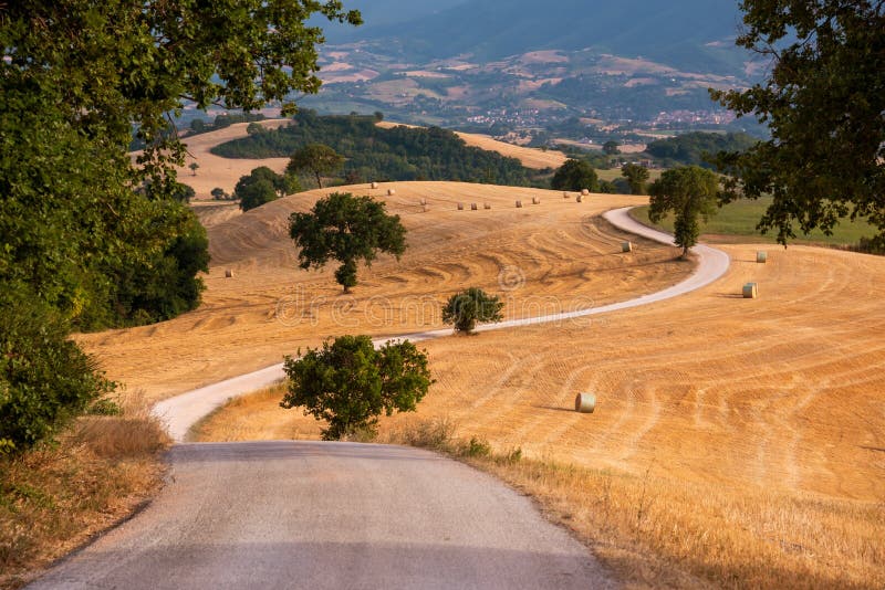 Rural Landscape with Winding Road among Fields in Countryside Stock ...