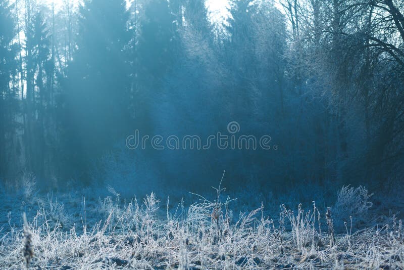 Rural Landscape with Winter Hoarfrost Stock Image - Image of frost ...