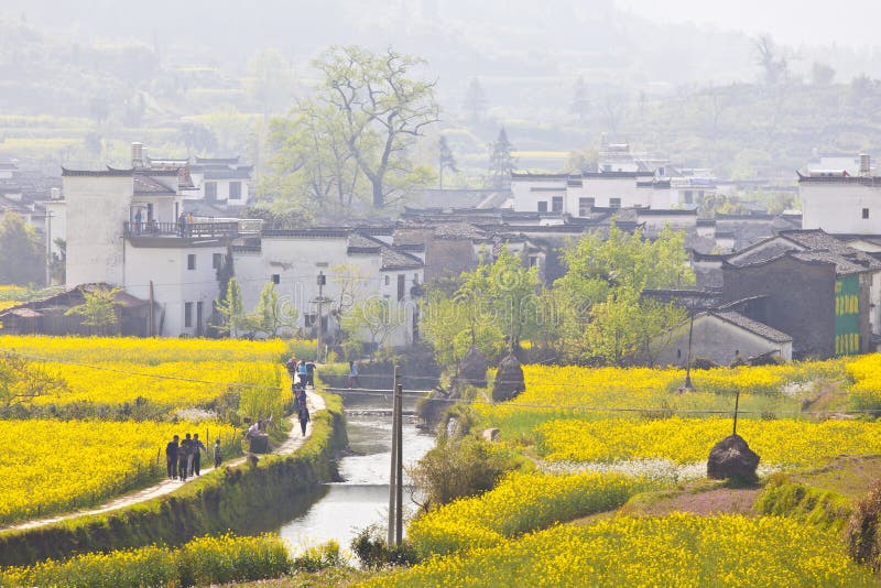 Rural Landscape in Wuyuan, China with Many Flowers. Stock Image - Image ...