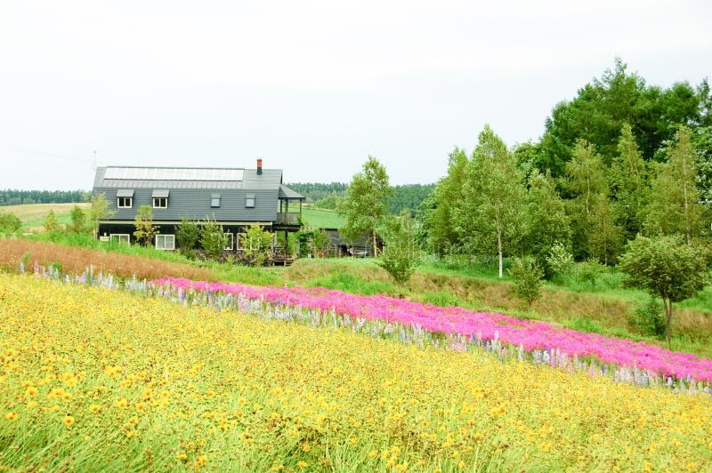 Rural life stock image. Image of colorful, farming, panorama - 12342003