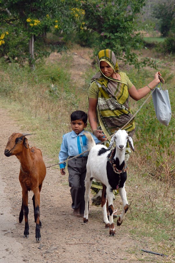 Rural life of India editorial photo. Image of rural, life - 17919116