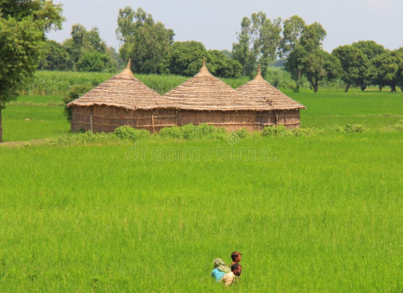 Rural life stock image. Image of place, seasonal, pretty - 10029825