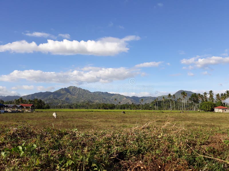 Rural life in philippines stock photo. Image of weather - 136698378