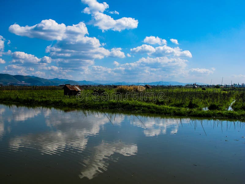 Myanmar in the summer editorial image. Image of farming - 110857700