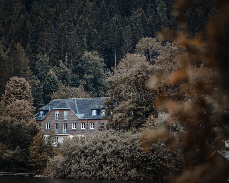 Rural Mansion Surrounded by Trees on a Hill on the Bay of a Lake Stock ...