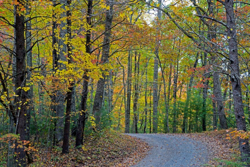 A Rural Mountain Road Surrounded with Fall Colors. Stock Photo - Image ...